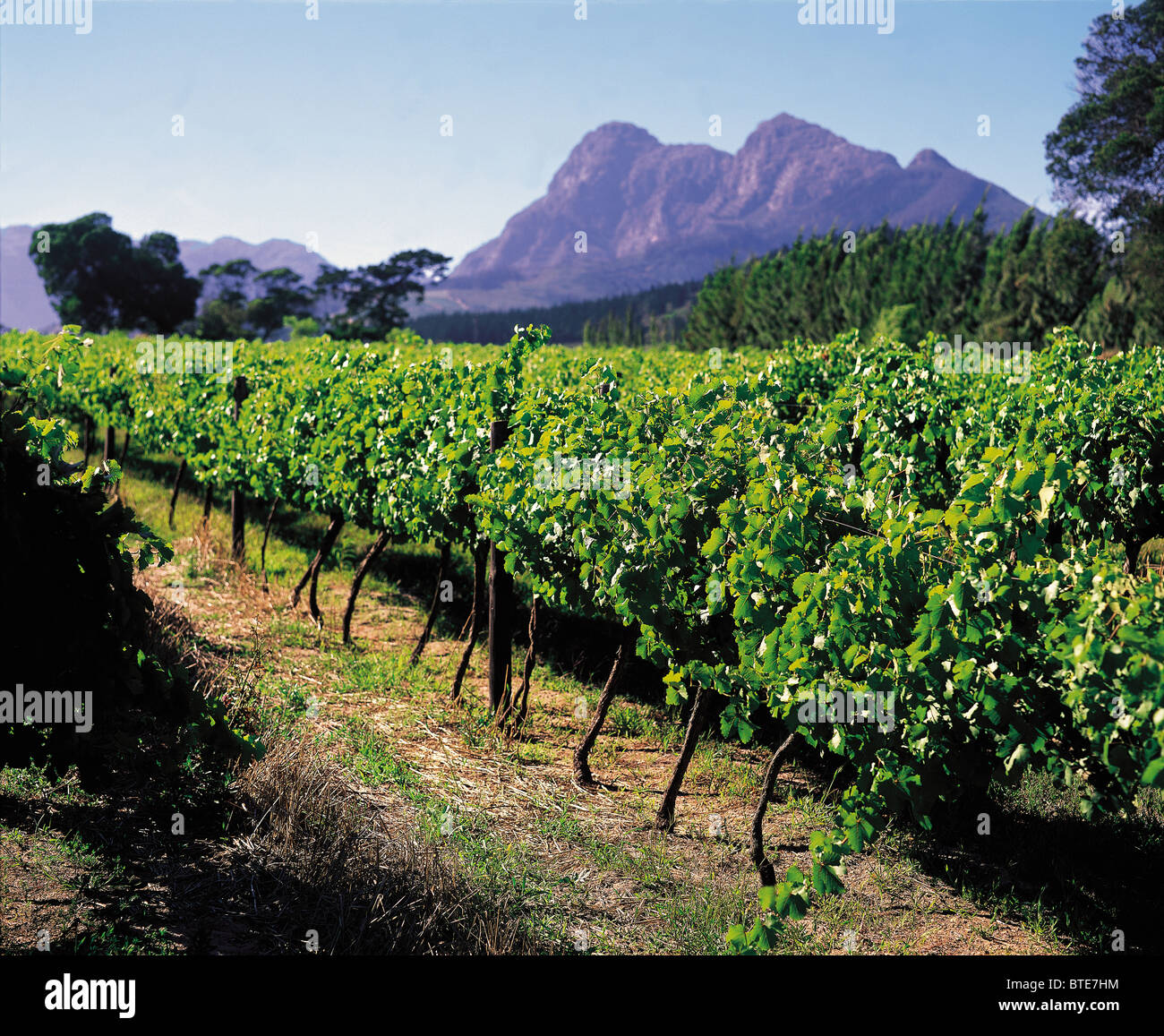 Winelands scenic route hi-res stock photography and images - Alamy