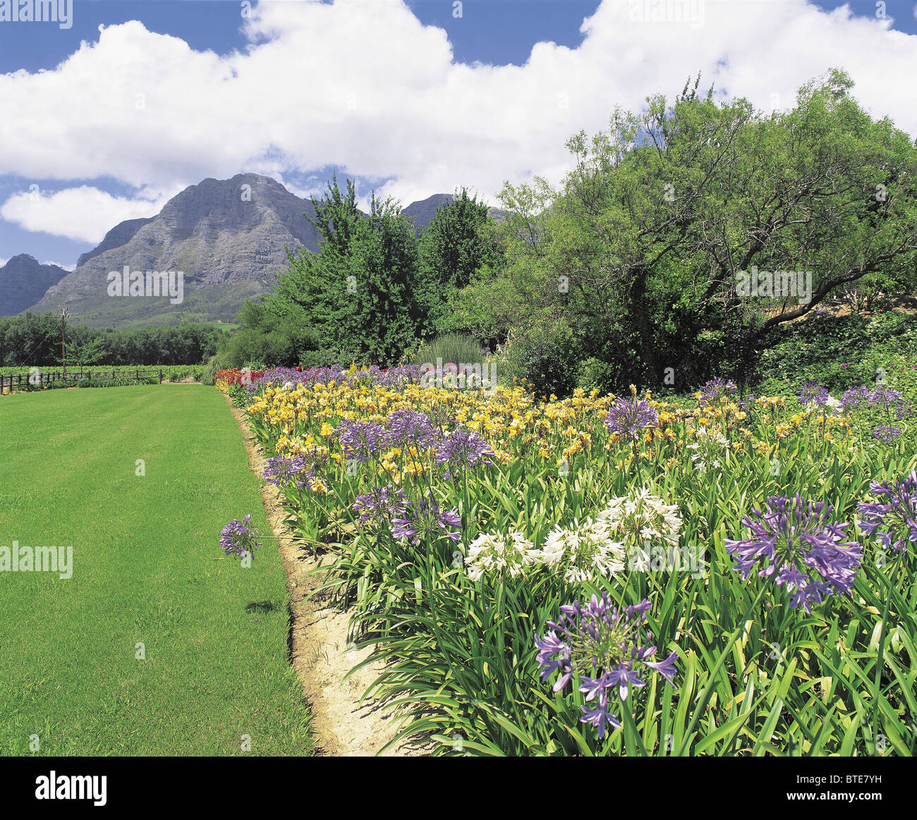 Plaisir de Merte Gardens in the Western Cape Stock Photo - Alamy