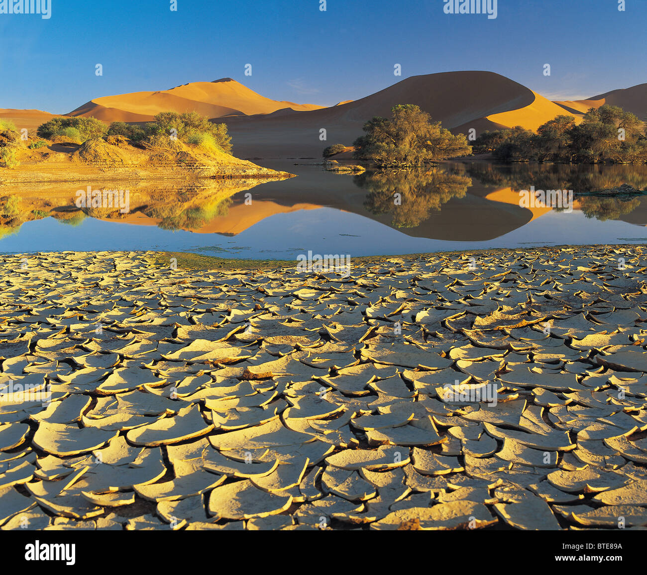 A clay crust forms as the water level recedes in the Sossusvlei of the ...