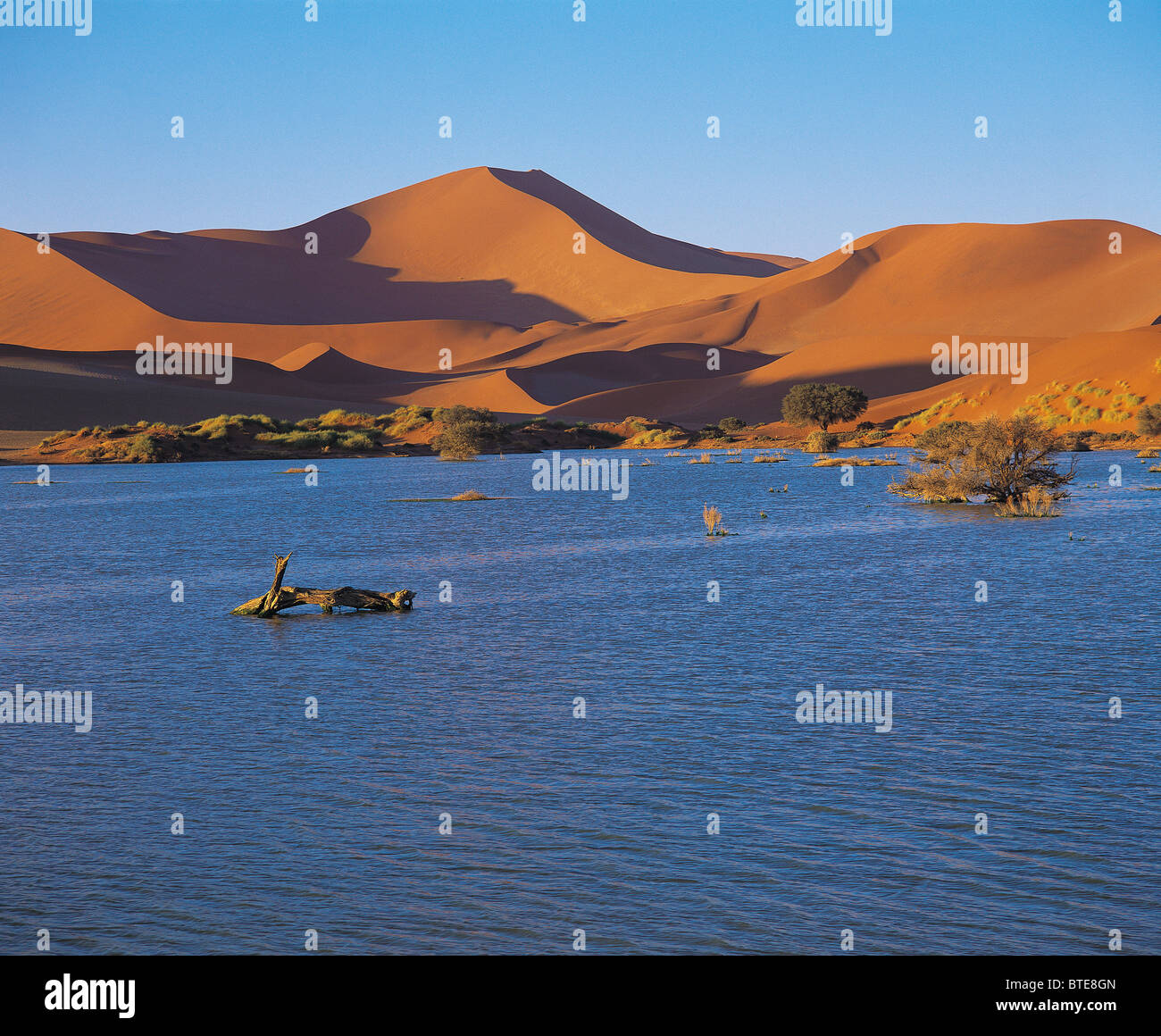The Nara vlei after the rain Stock Photo - Alamy