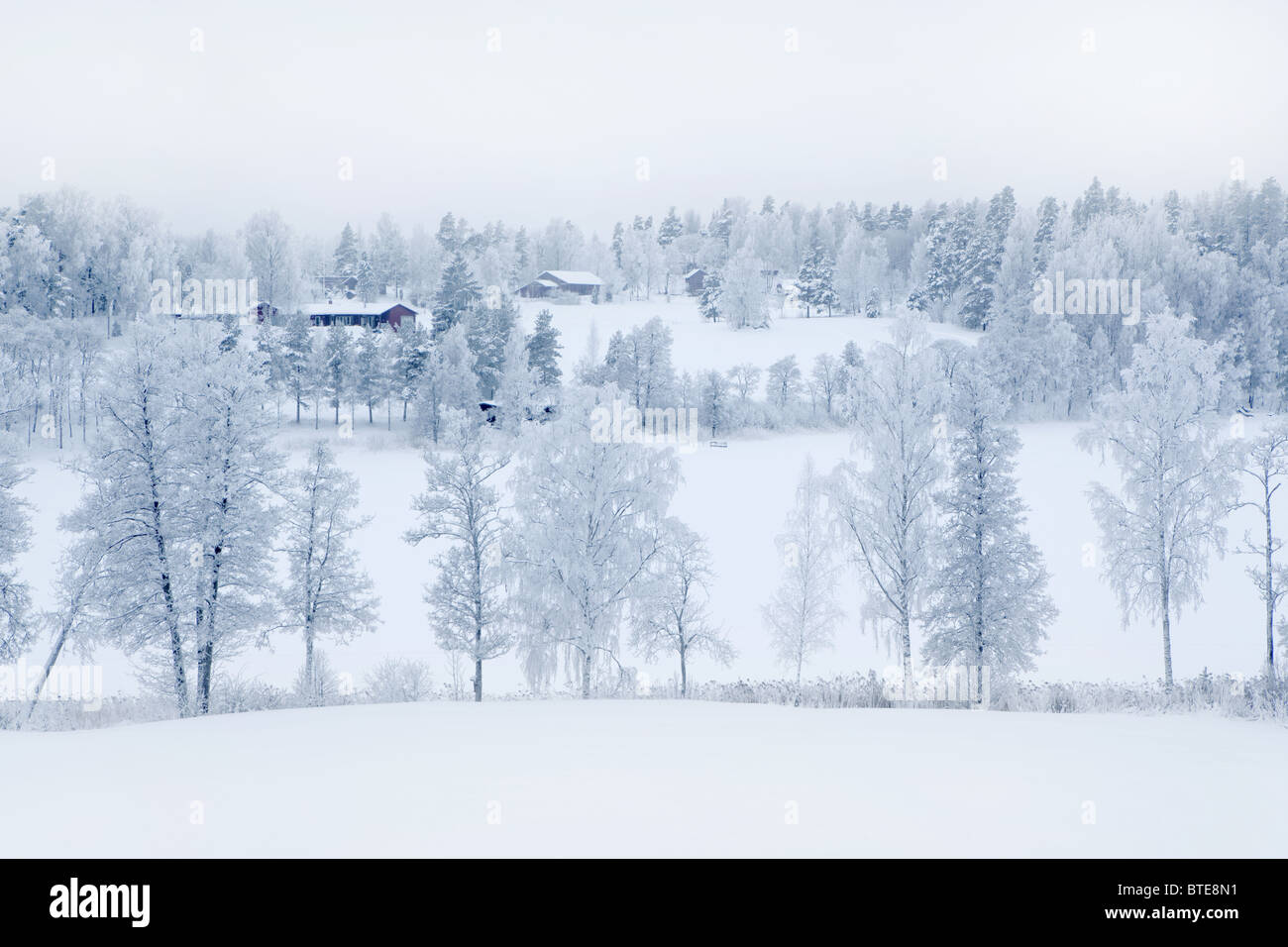 Winter landscape in Finland Stock Photo - Alamy