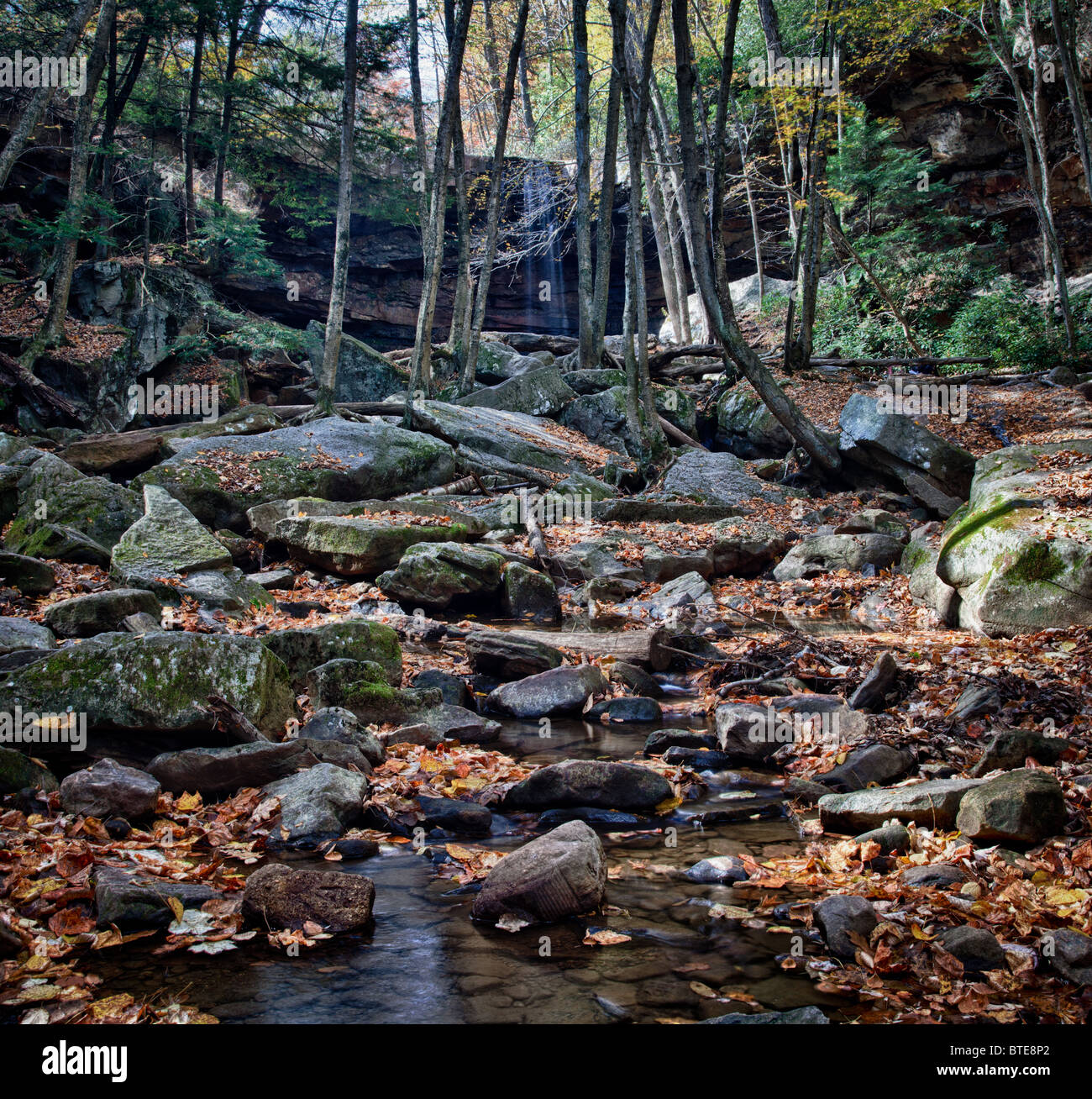 Cucumber Falls in Ohiopyle state park in Pennsylvania Stock Photo - Alamy