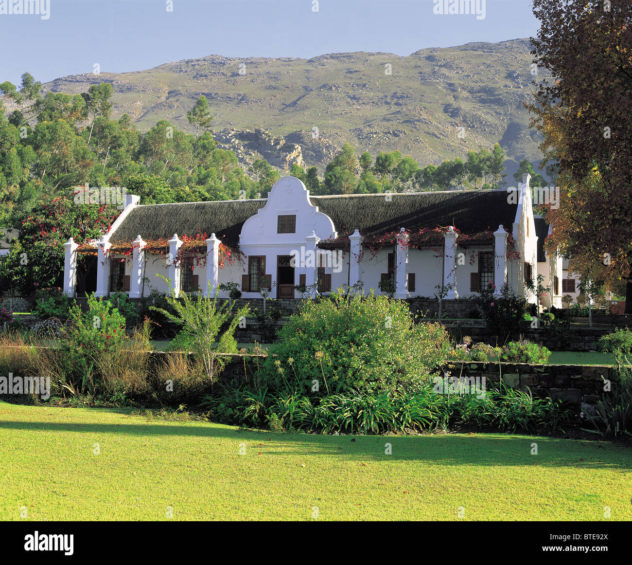 The Pines Wine Estate Stock Photo - Alamy