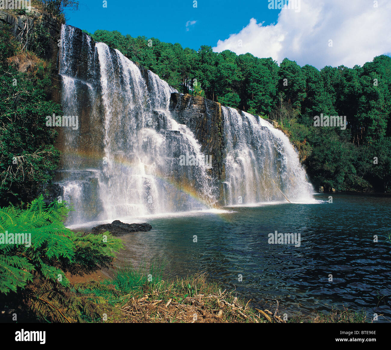 Forest falls Mpumalanga Stock Photo - Alamy