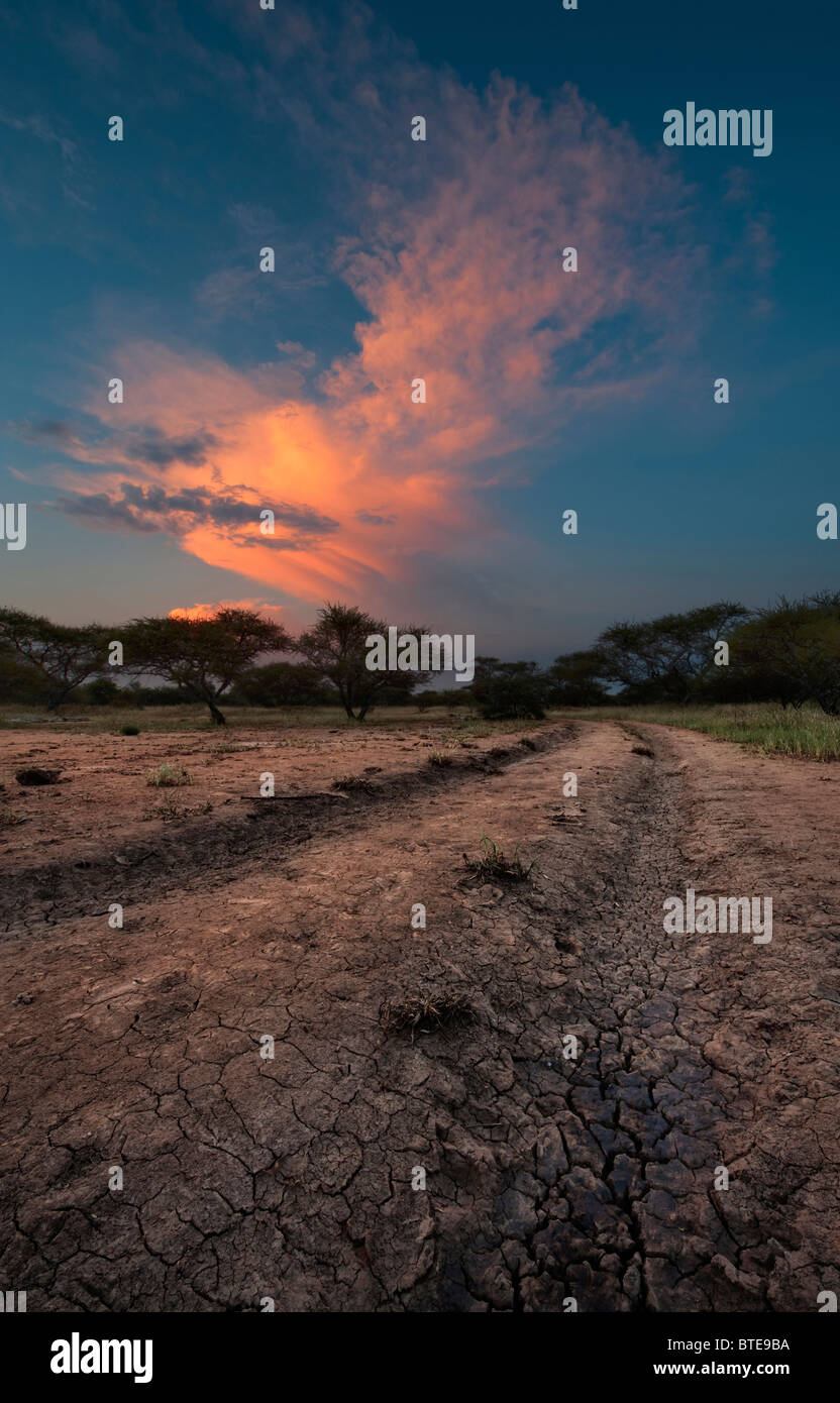 South african bushveld sunset hi-res stock photography and images - Alamy
