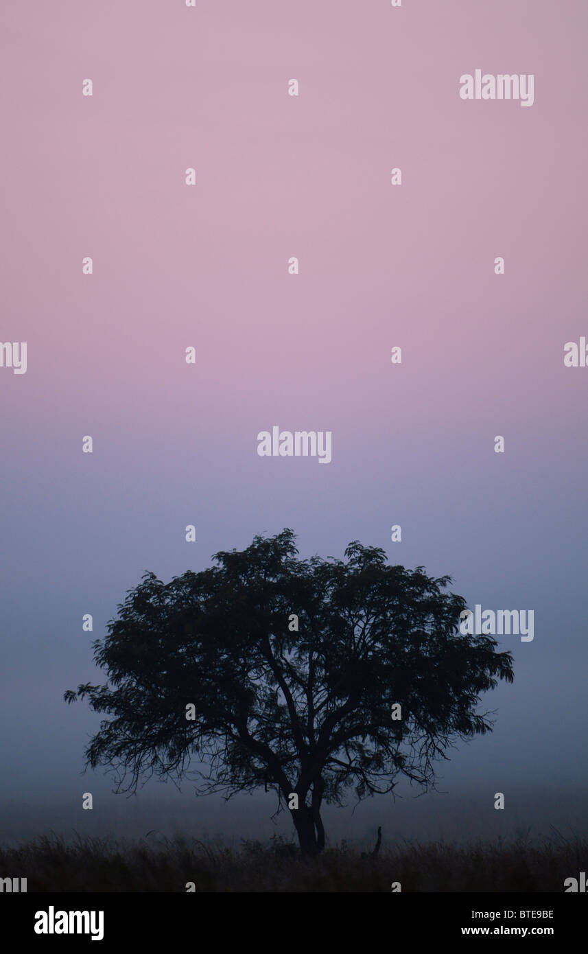 Dusk hi-res stock photography and images - Alamy