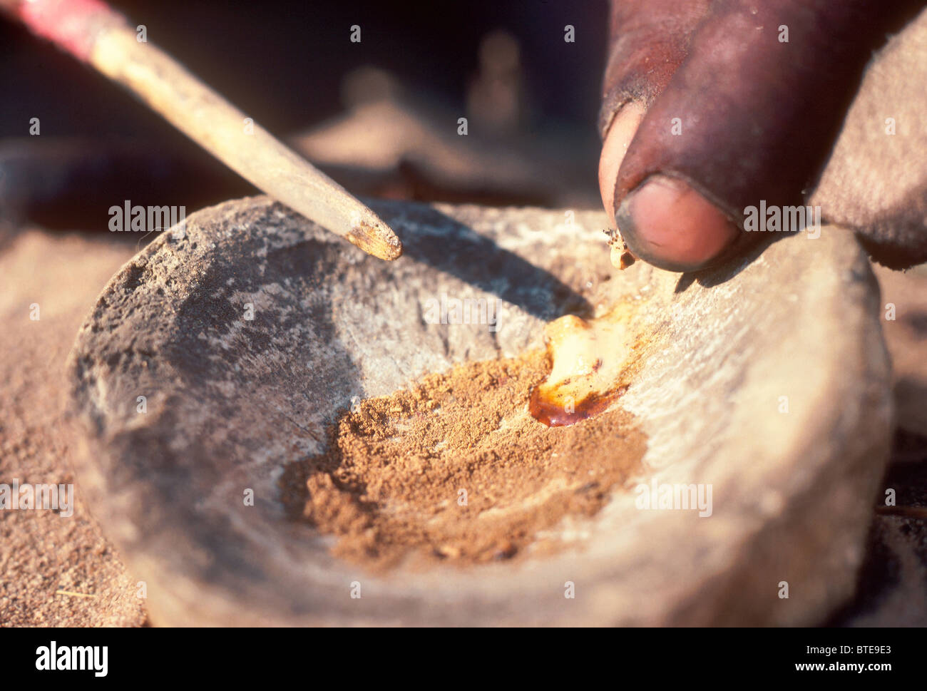 Bushman making a poison Stock Photo - Alamy