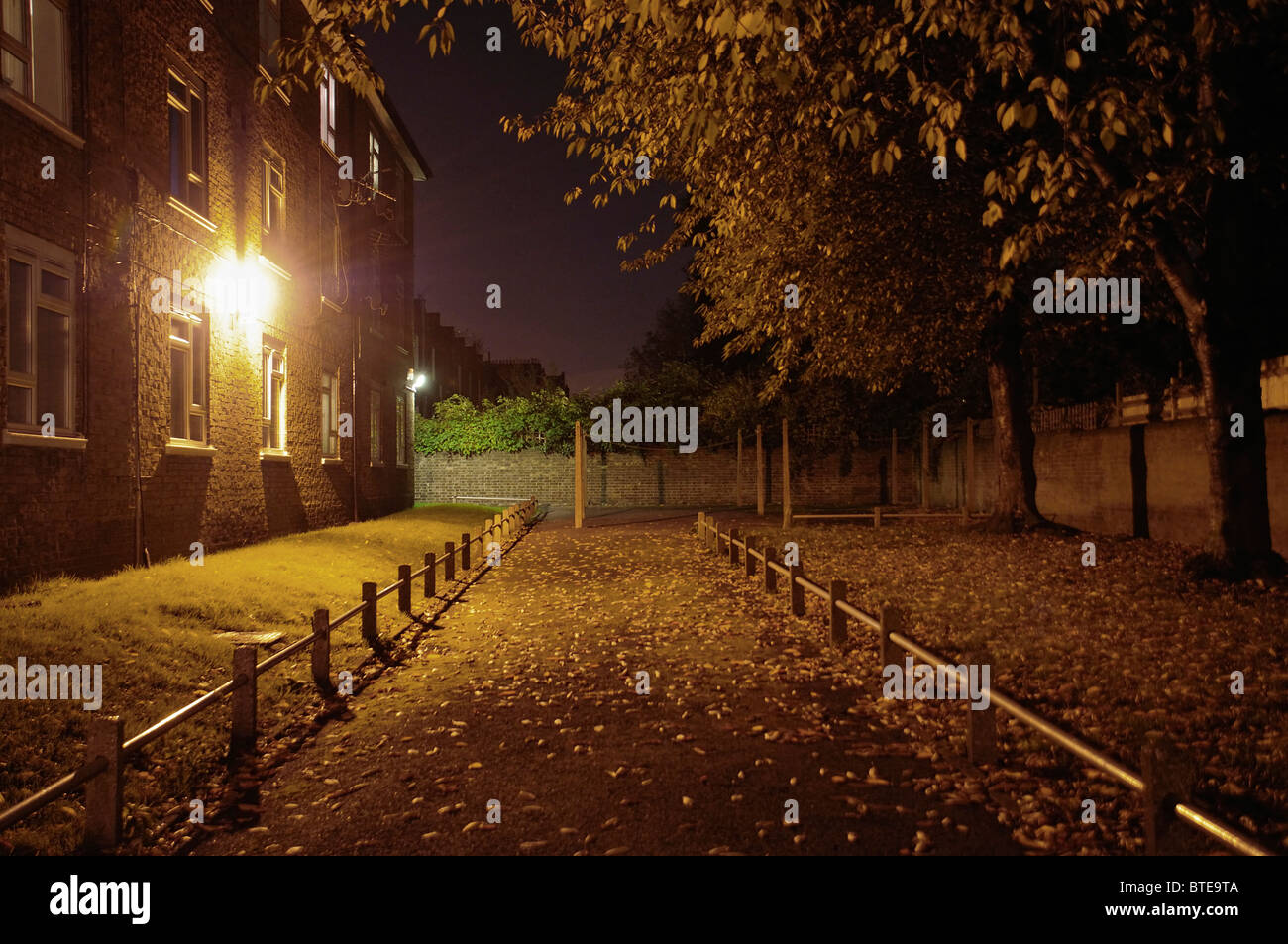 Empty Sidewalk At Night
