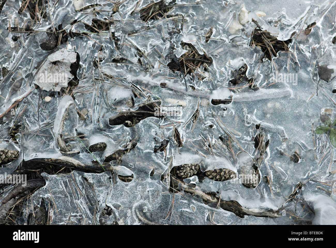 Thin layer of ice on ground Stock Photo - Alamy