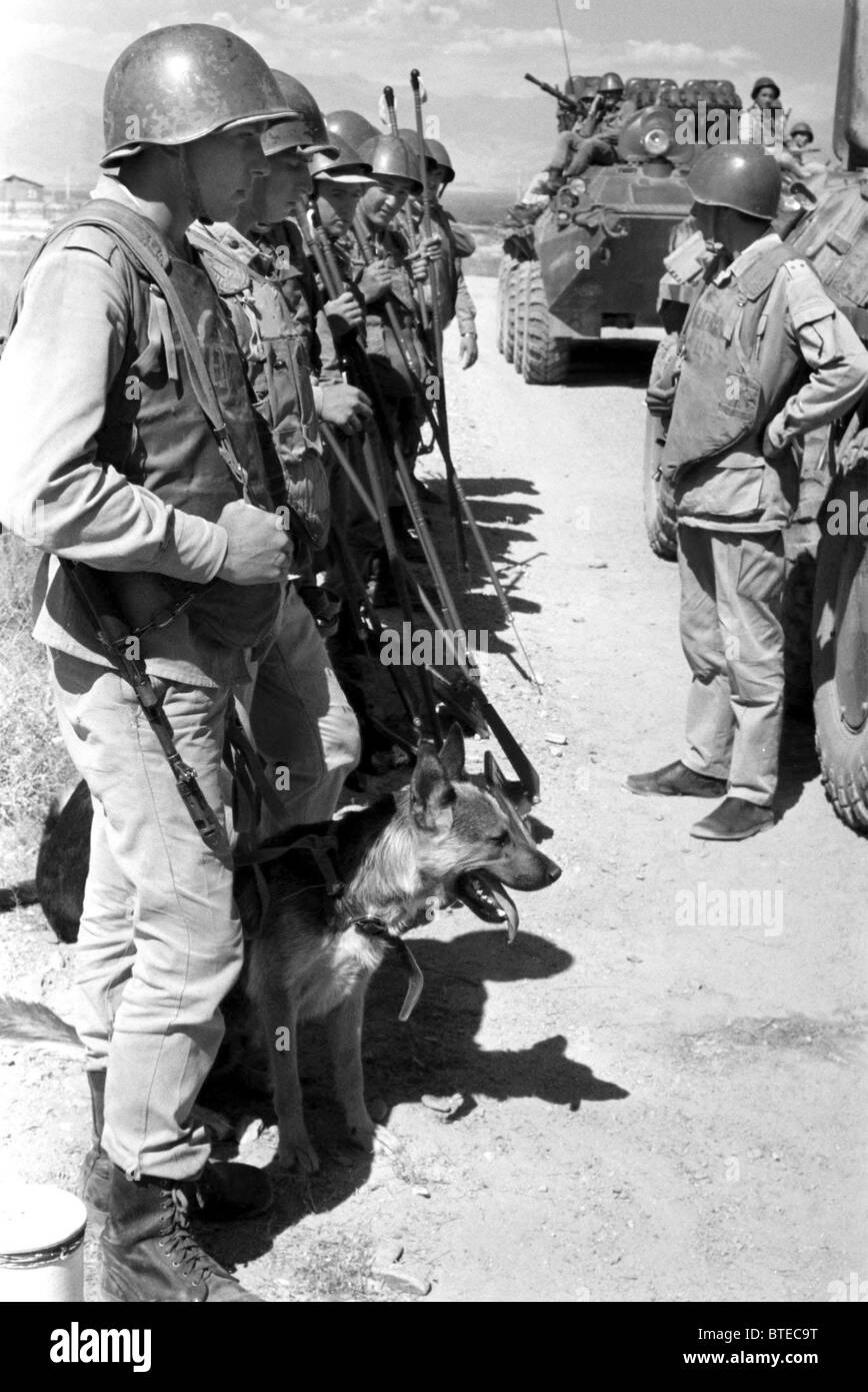 Soviet Sappers High Resolution Stock Photography and Images - Alamy