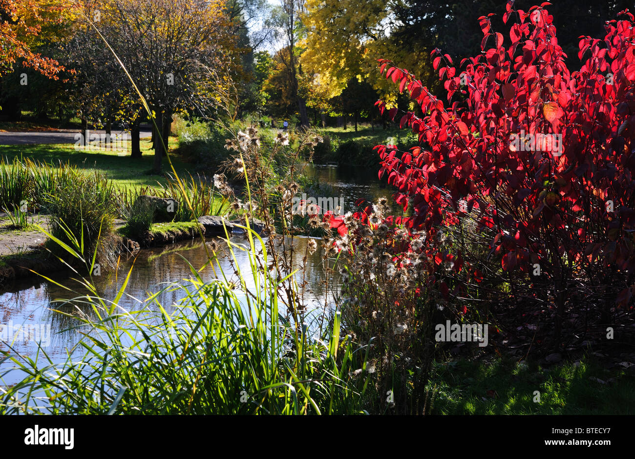 Autumn colour in Sefton Park, Liverpool Stock Photo - Alamy