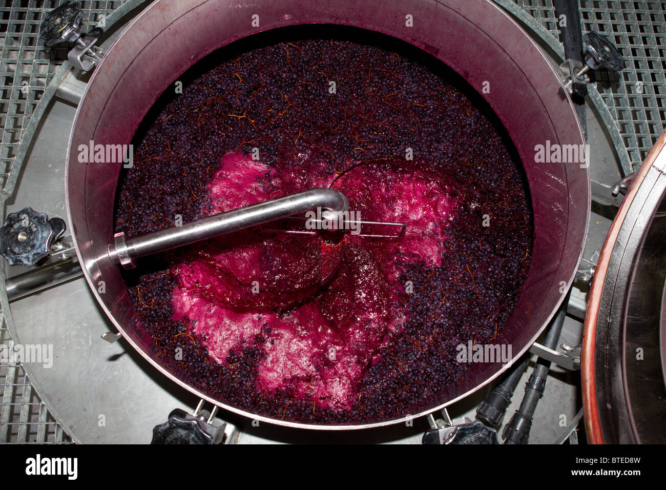 Red wine grapes being stirred in stainless steel fermentation vessels ...