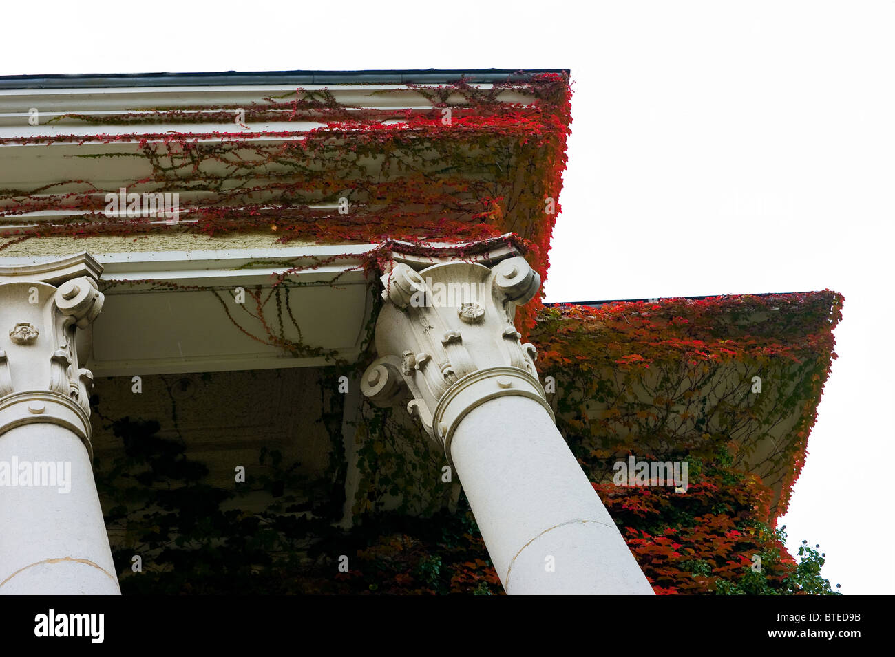 Column roof hi-res stock photography and images - Alamy