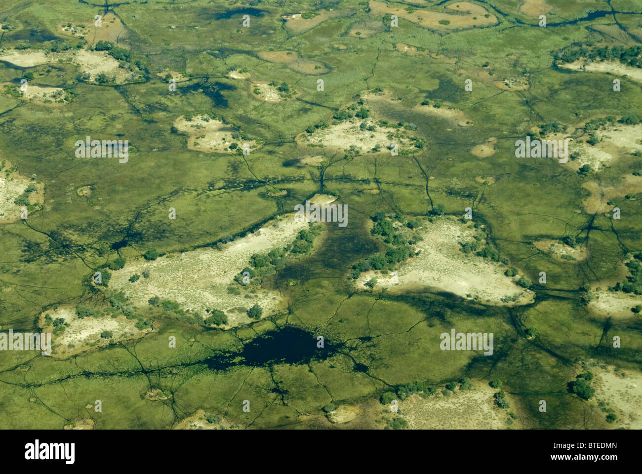 African aerial vegetation texture hi-res stock photography and images ...