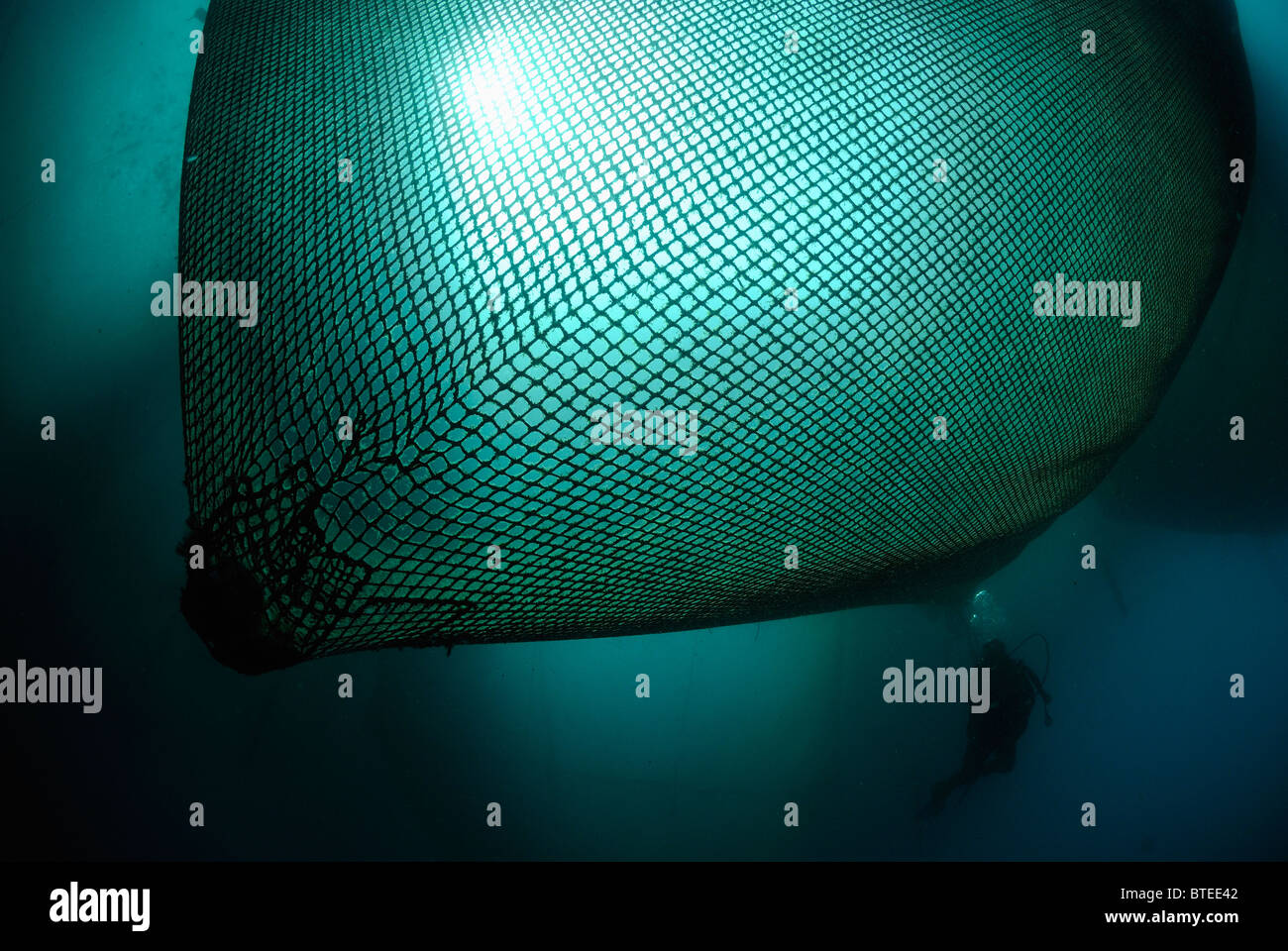 Net containing farmed fish in the Mediterranean Sea Stock Photo - Alamy