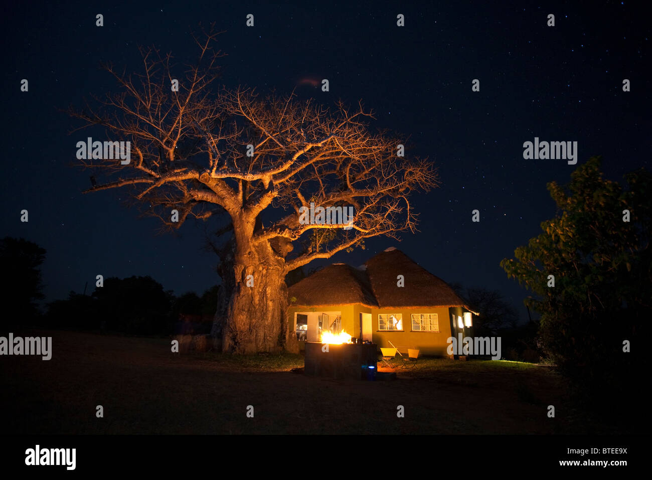 Dwarfing or dwarfed by hi-res stock photography and images - Alamy