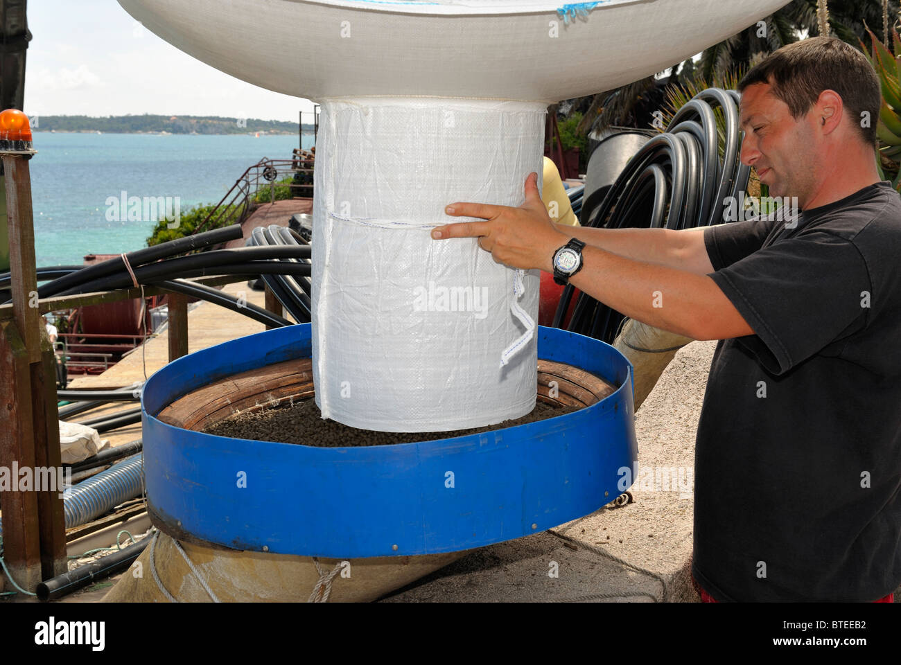 Farmed fish hi-res stock photography and images - Alamy