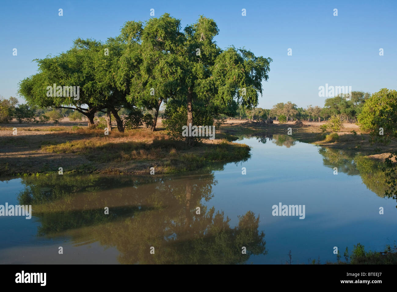 Mana pools national park zimbabwe hi-res stock photography and images ...