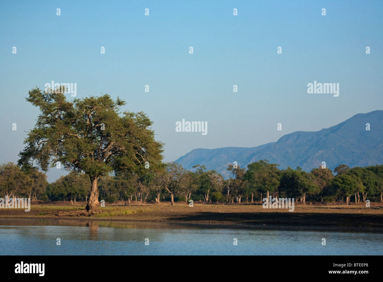 Scenic view of long pools at Mana Pools with a mountain in the ...