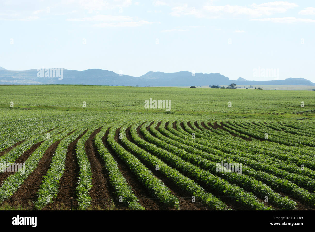 Landscape with cultivated fields Stock Photo - Alamy