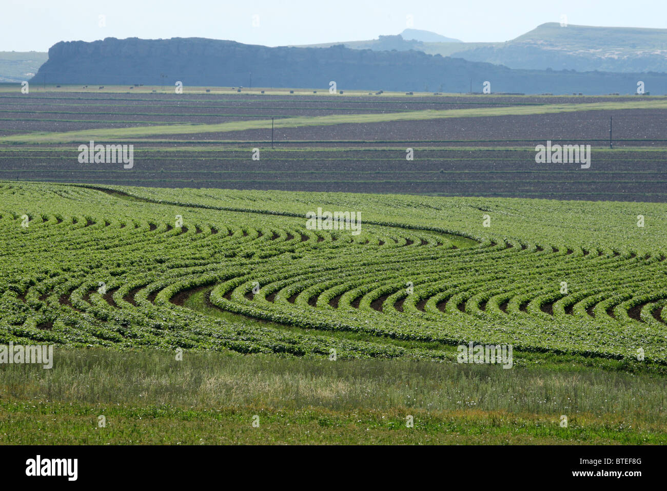 Landscape with cultivated fields Stock Photo - Alamy