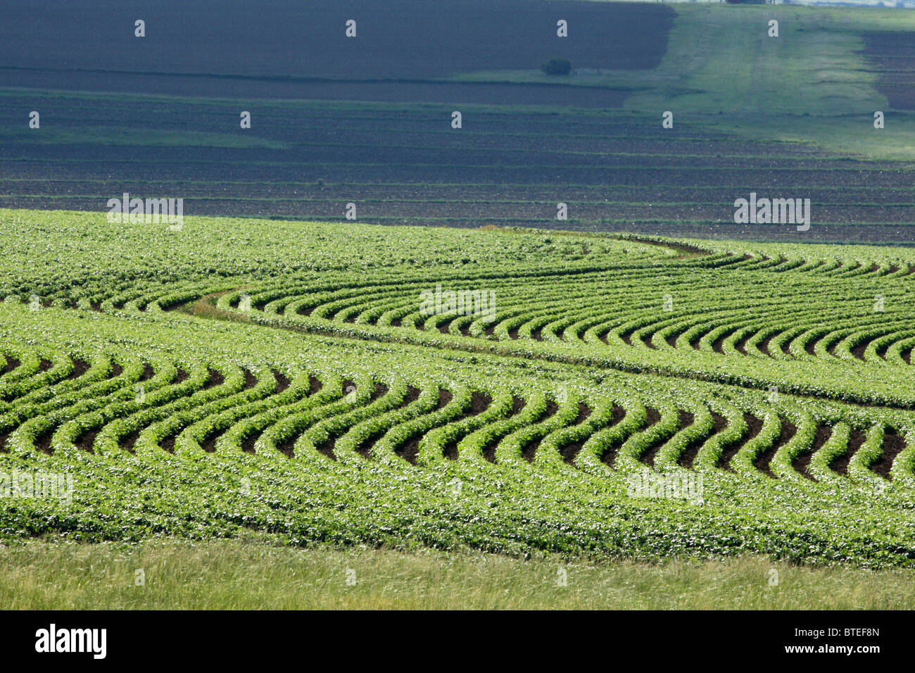 Contour farming hi-res stock photography and images - Alamy