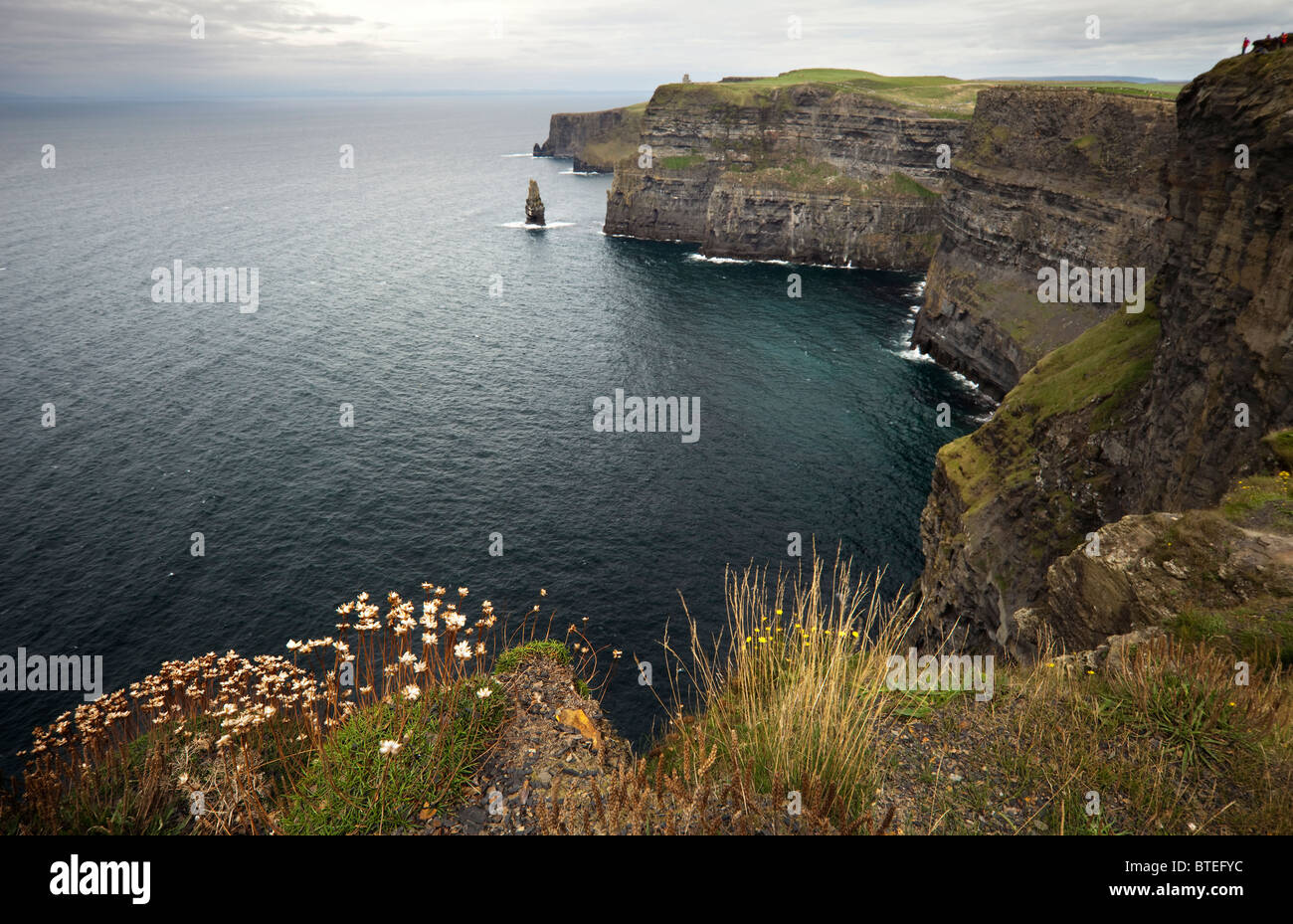 Cliffs of Mother in Clare county, Ireland-Eire Stock Photo - Alamy