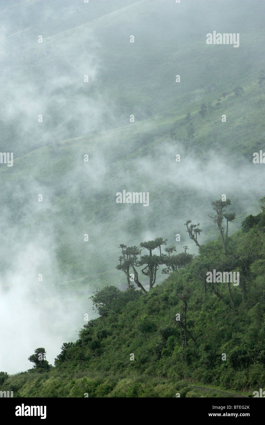 Crater mist hi-res stock photography and images - Alamy