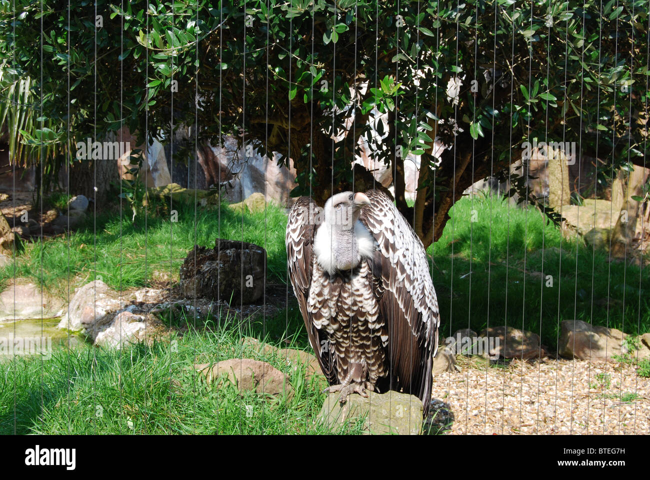Feng Chen Feng - Alternative Tube Map Project. Funded by The John Kobal ...