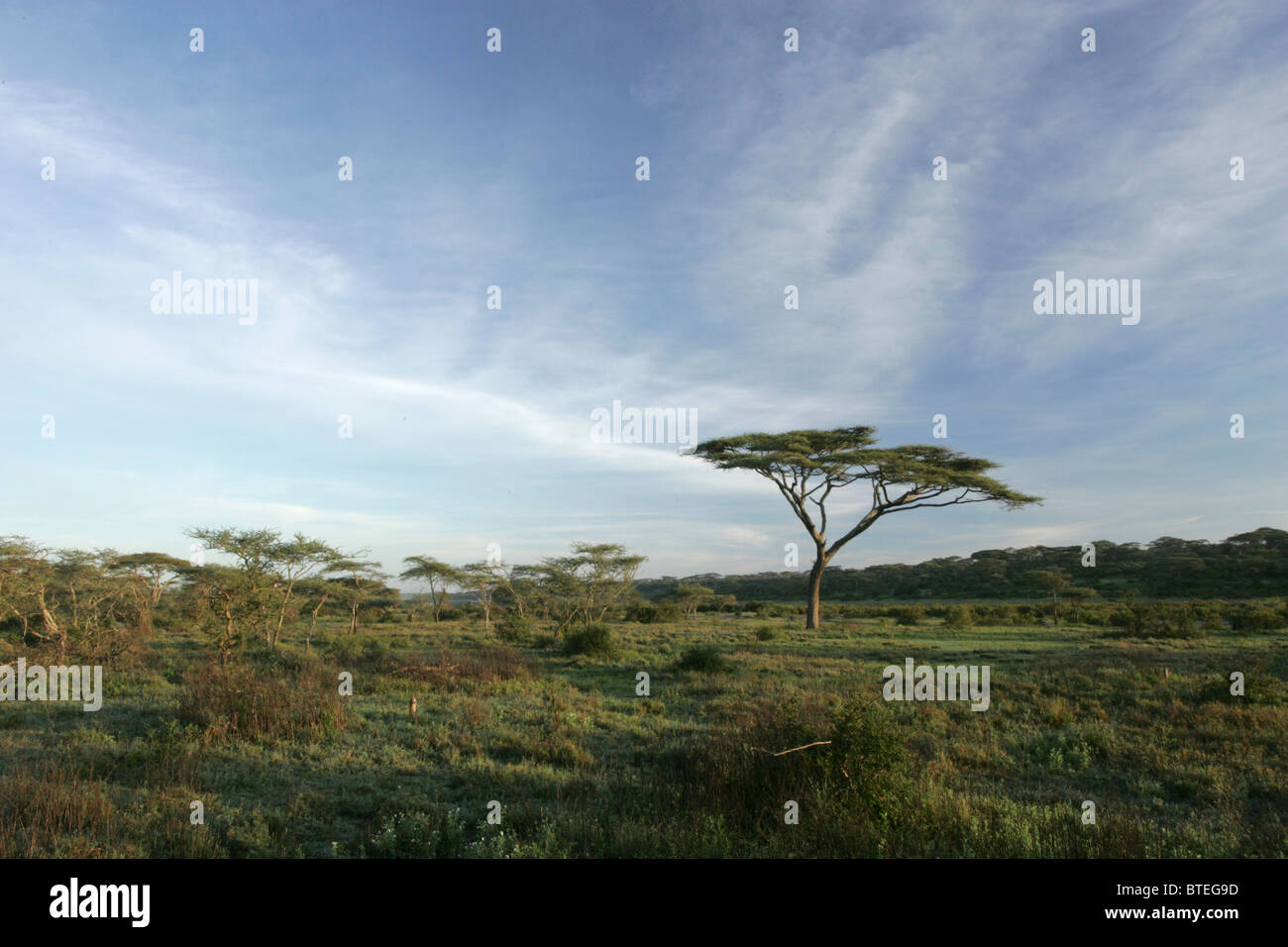 Flat topped hi-res stock photography and images - Alamy