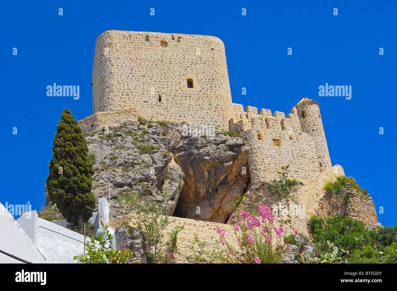 Worm castles hi-res stock photography and images - Alamy