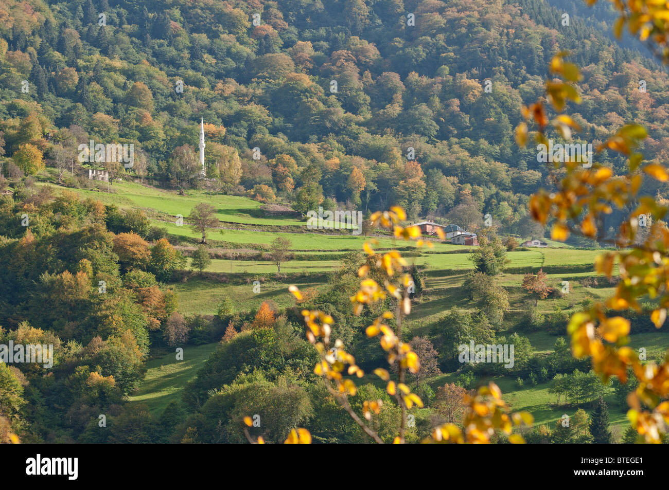 Fall colours in Black Sea region,Trabzon,Turkey Stock Photo - Alamy