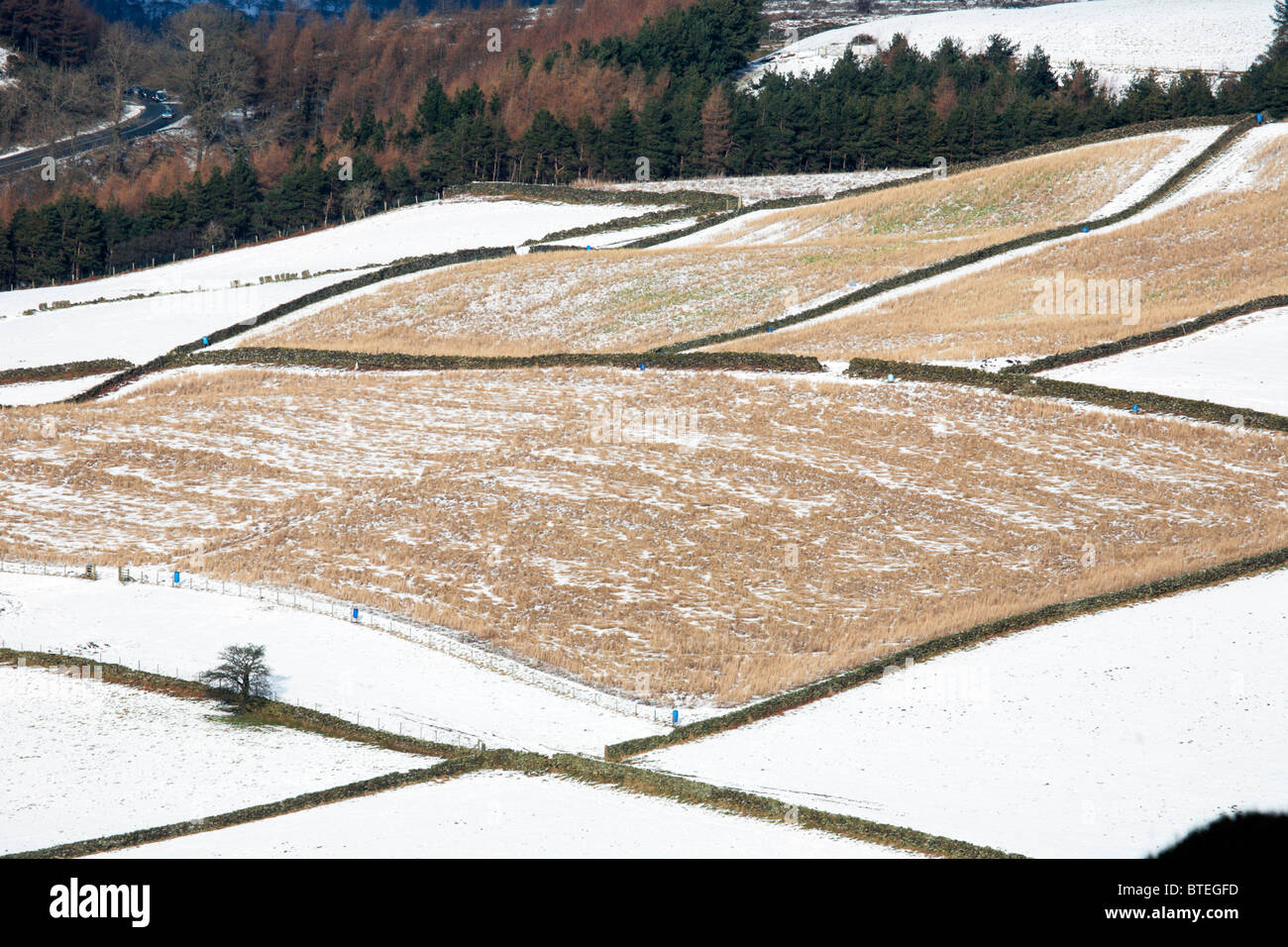 Field Patterns, Bilsdale North York Moors National Park Stock Photo - Alamy