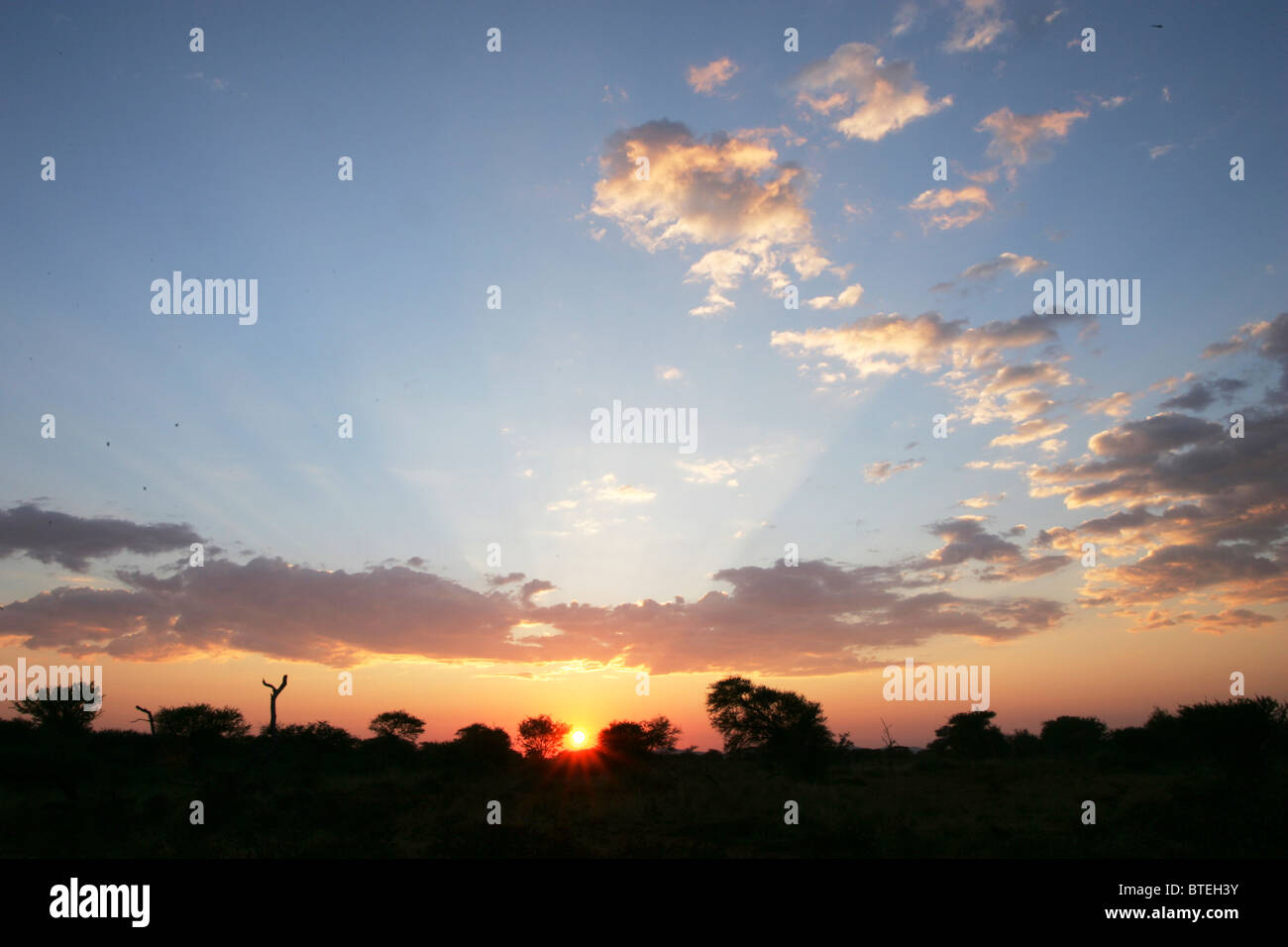Africa moody landscape bushveld hi-res stock photography and images - Alamy