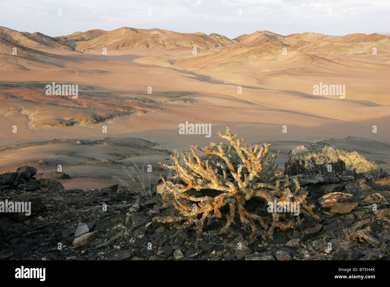 Desertscape view hi-res stock photography and images - Alamy