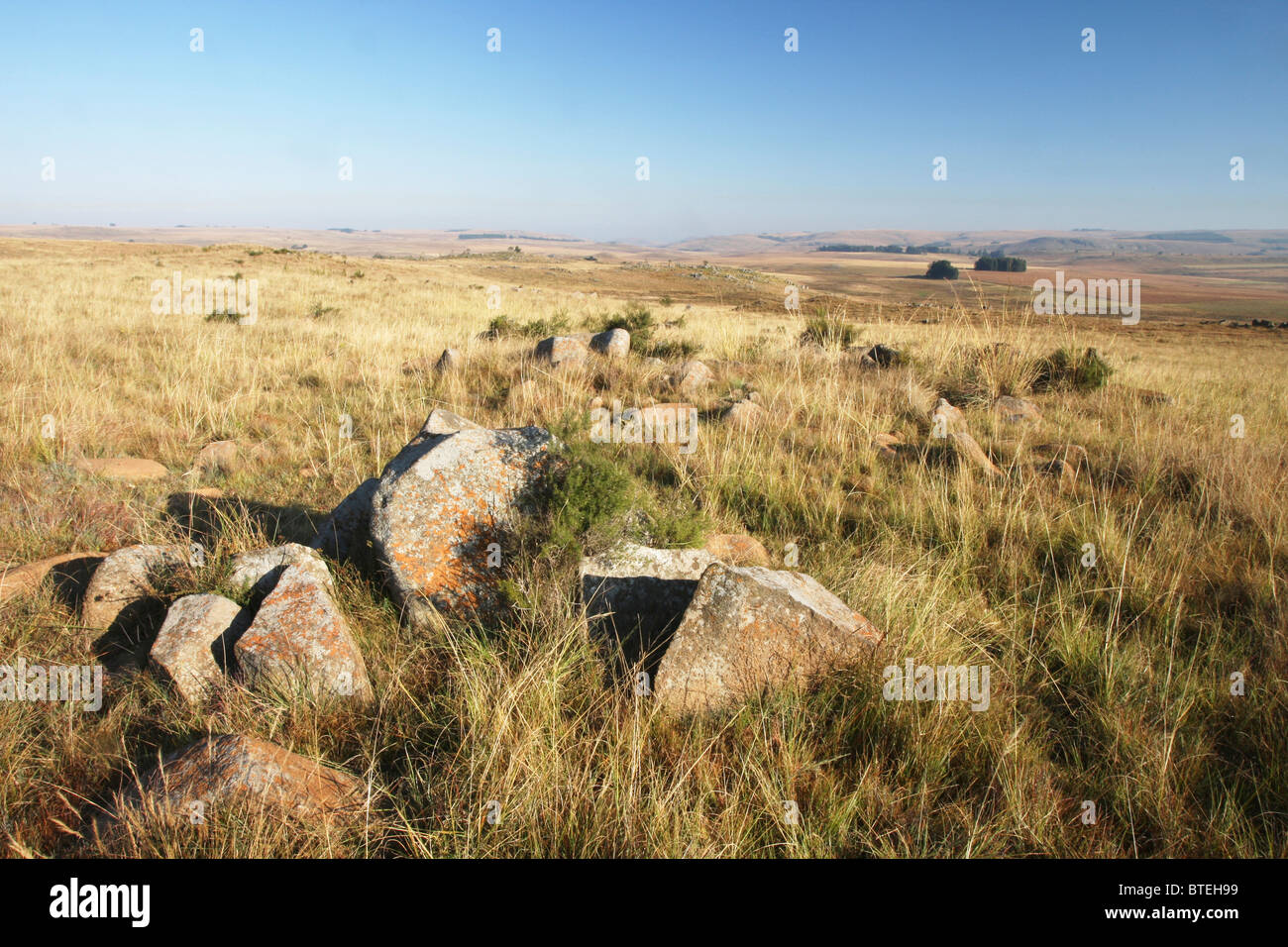 Highveld landscape near Dullstroom Stock Photo - Alamy