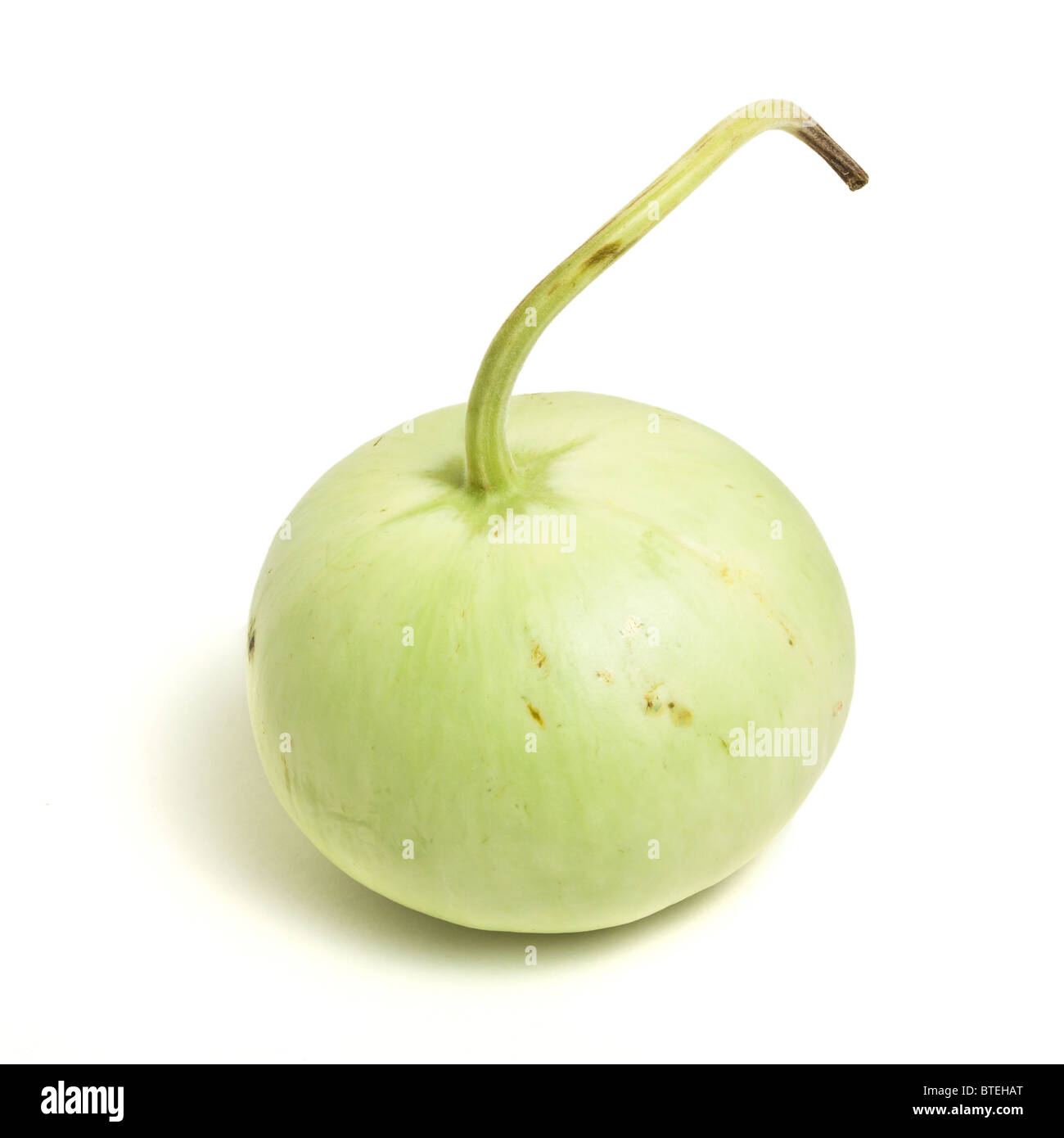Asian Sweet Pumpkin called kadu popular in Afghan and Kashmiri cuisine ...