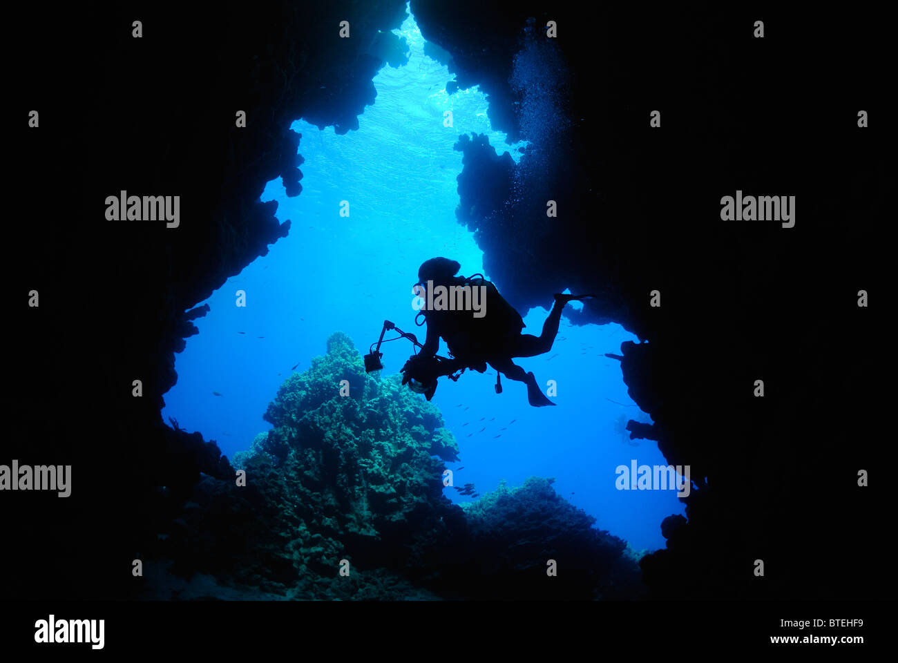 Scuba diver swimming in a cave off Hamata coast, Egypt, Red Sea Stock ...