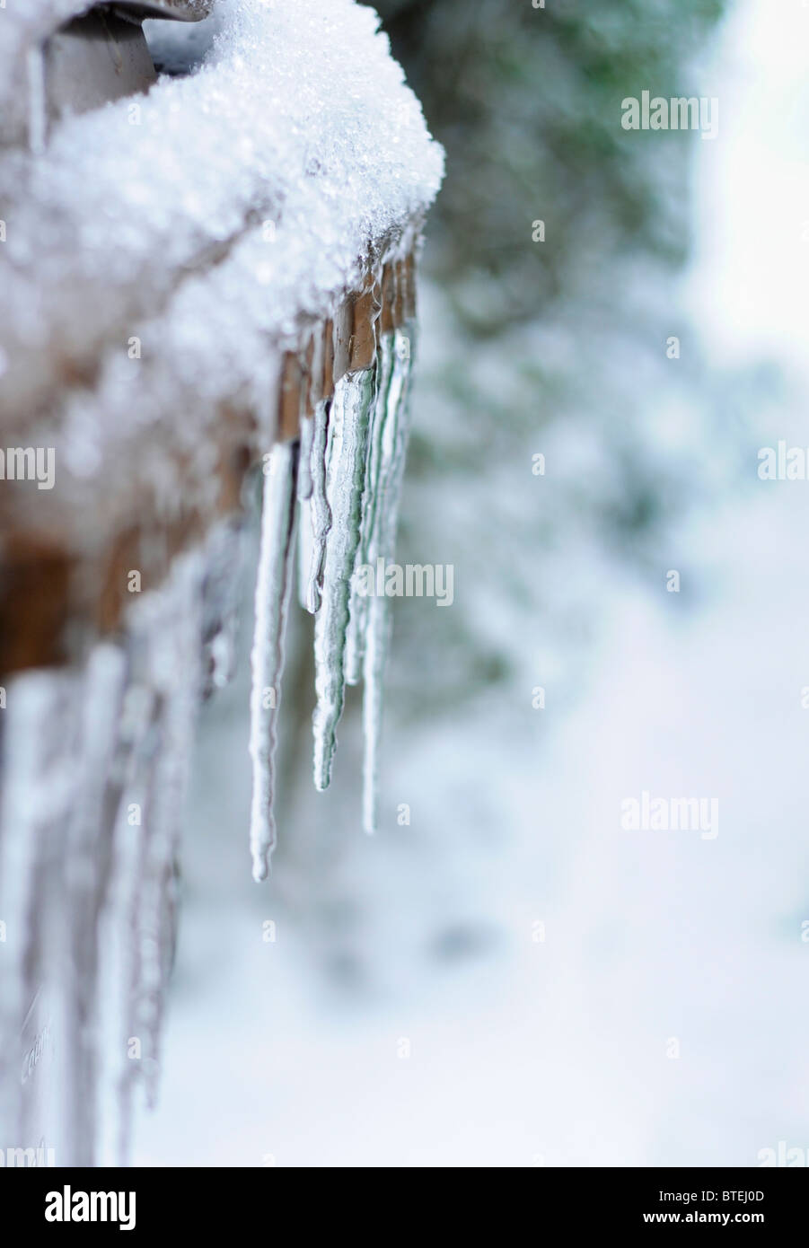 Ice Hanging High Resolution Stock Photography and Images - Alamy