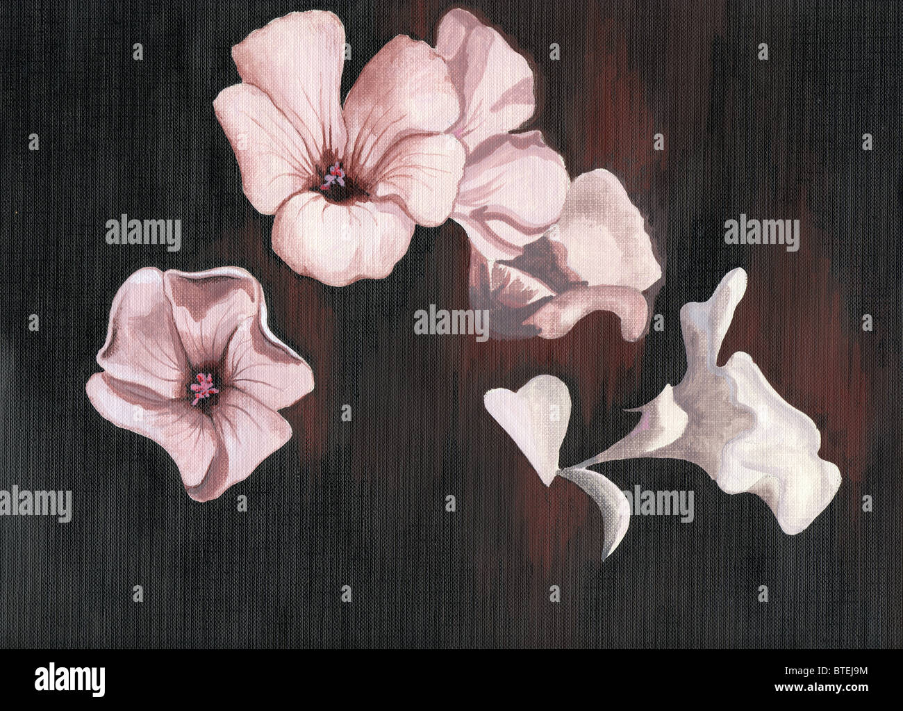 Array of flowers hi-res stock photography and images - Alamy