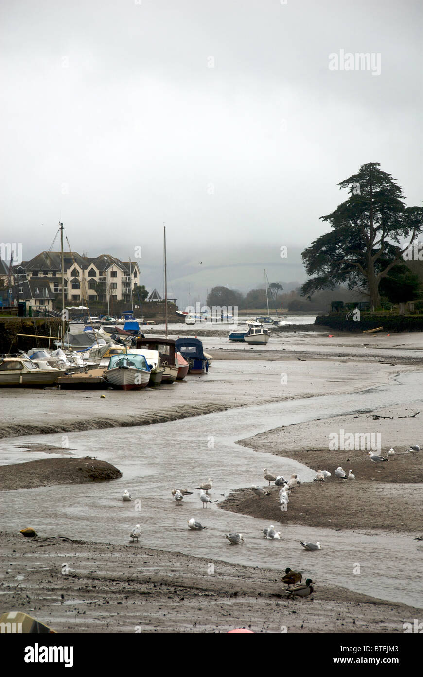 Kingsbridge devon uk hi-res stock photography and images - Alamy