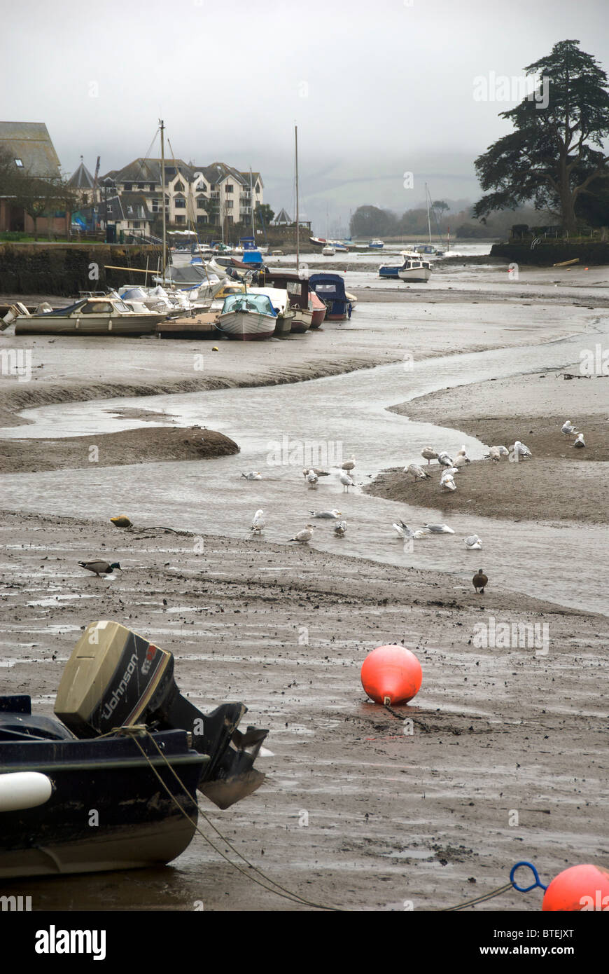 Kingsbridge Devon UK Harbor Harbour Stock Photo - Alamy