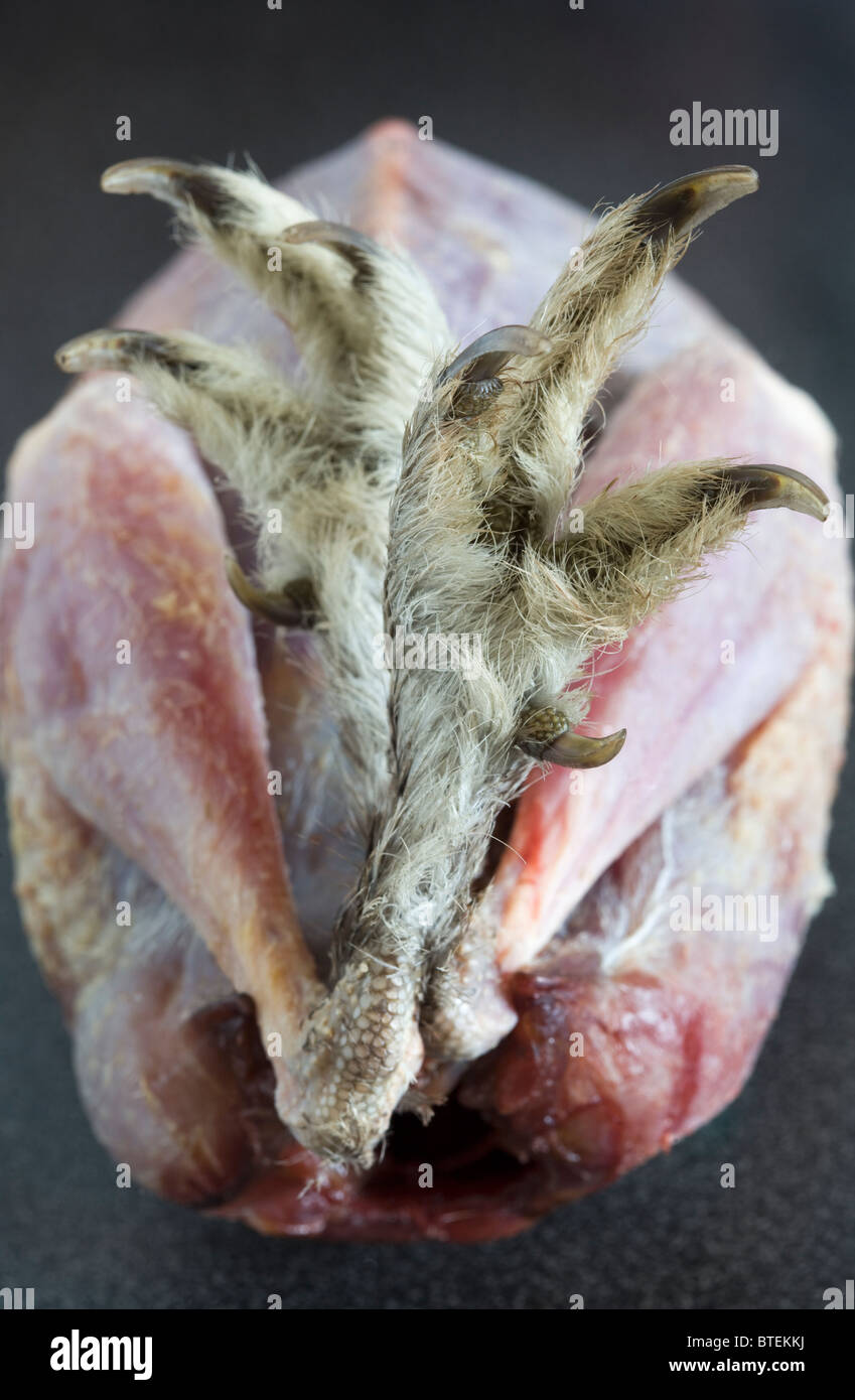 Game prep hi-res stock photography and images - Alamy