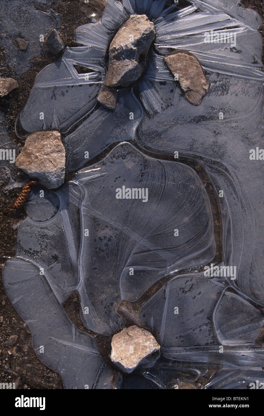 Surface tension puddle hi-res stock photography and images - Alamy