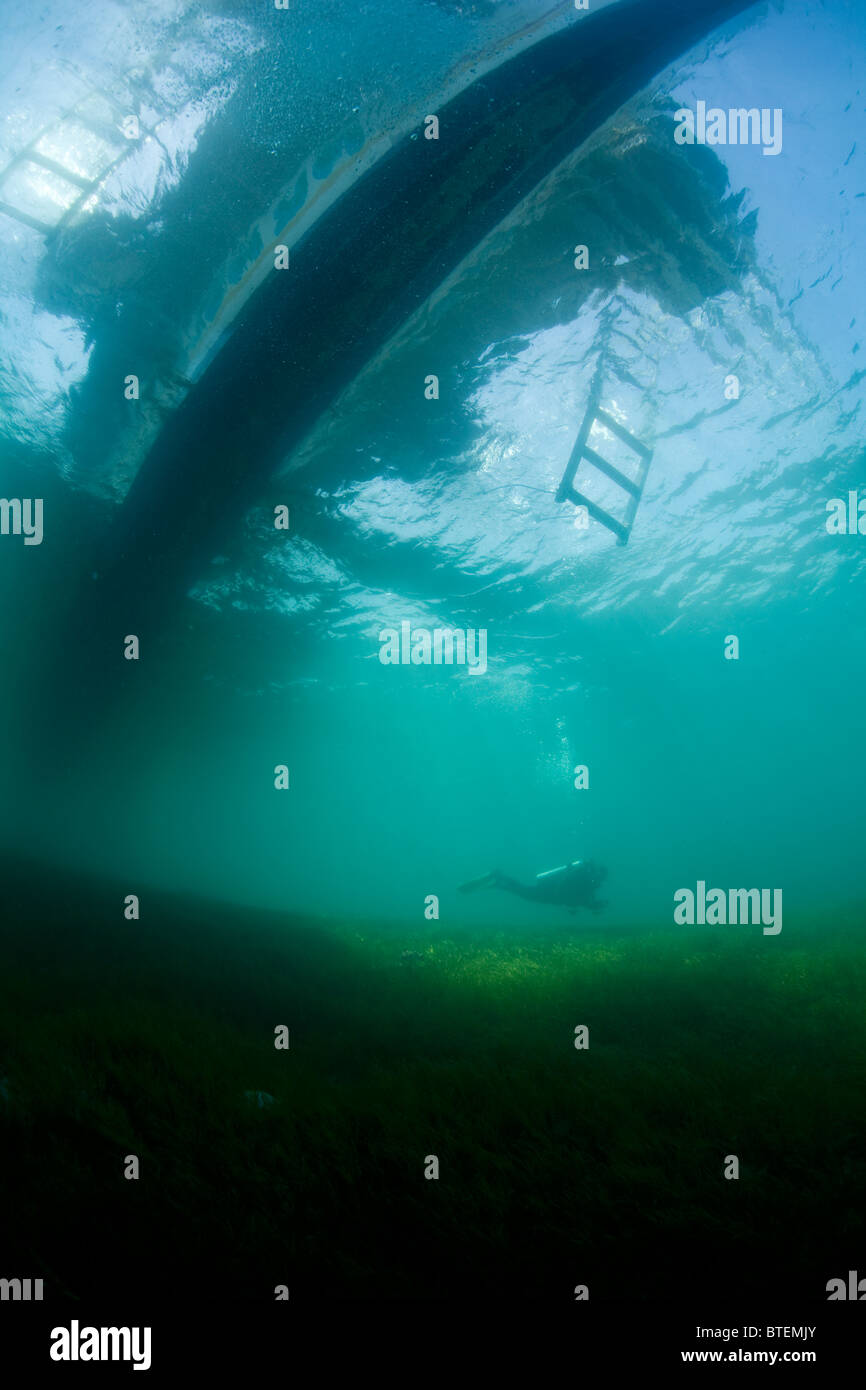 A diver hovers over a sea grass bed, under a dive boat off Cabilao ...