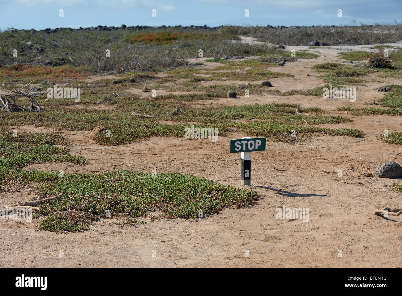 Only on galapagos hi-res stock photography and images - Alamy