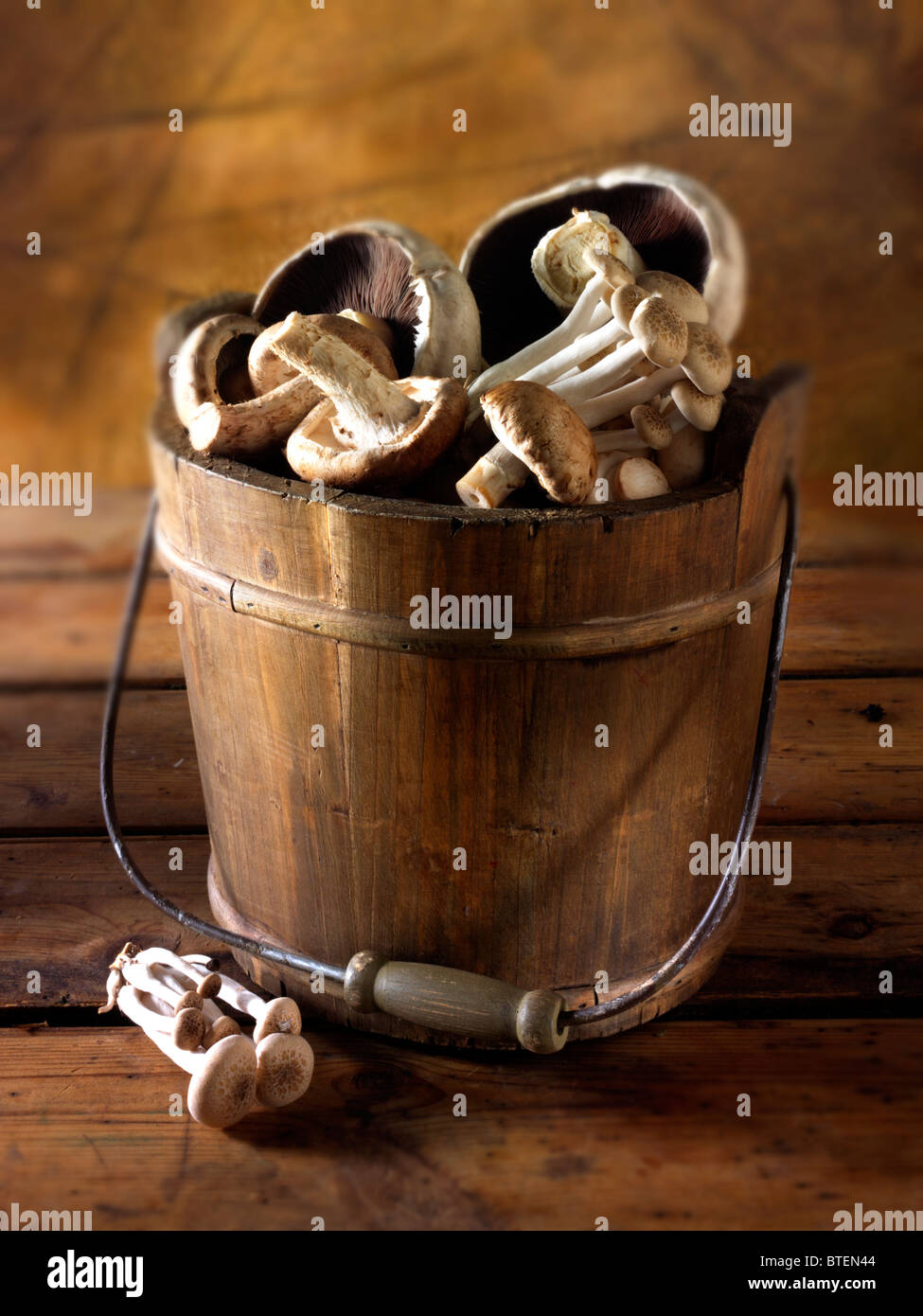 Fresh mixed whole mushrooms Stock Photo - Alamy