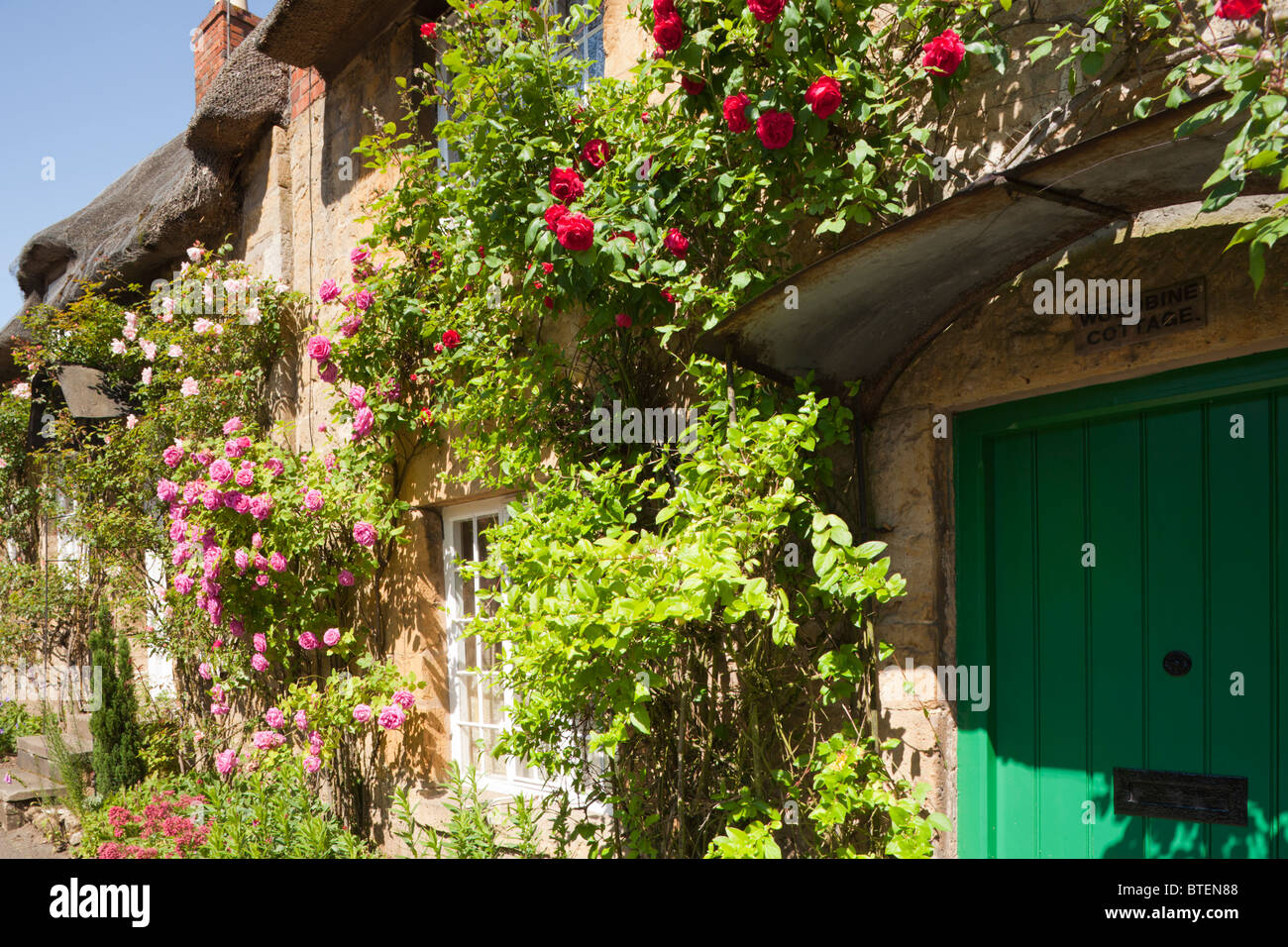 Country cottage roses hi-res stock photography and images - Alamy