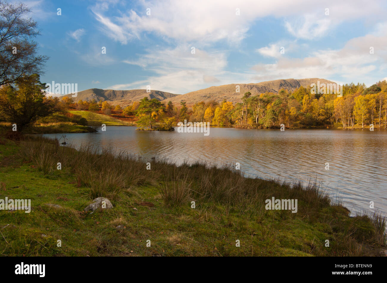 Tarn Hows Autumn Stock Photo - Alamy