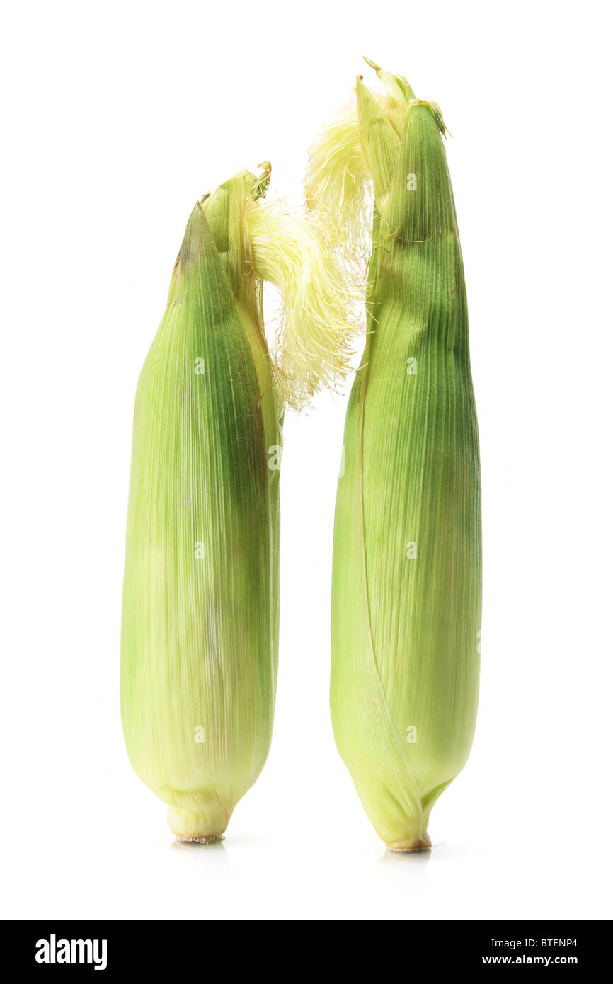 White maize cobs hi-res stock photography and images - Alamy